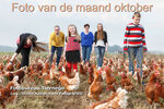 Tiernego Fotobureau (De Veste 17 No:17, Lelystad), fotoğraf hizmetleri  Lelystad'dan