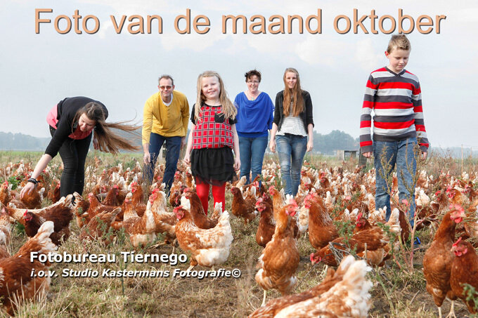 Fotoğraf hizmetleri Tiernego Fotobureau, Lelystad, foto