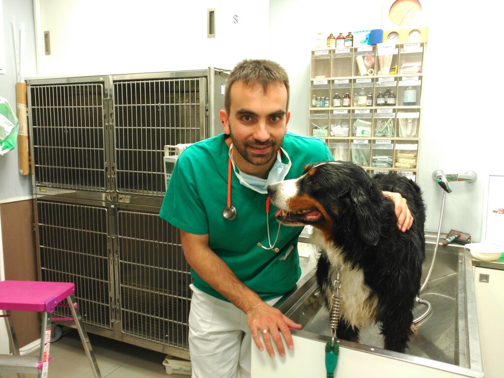 Veteriner klinikleri Bustillo Servicios Veterinarios, Logrono, foto