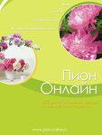 PionOnline (ulitsa Khabarova No:2), hobi, elişi için ürünler  Moskovski'den