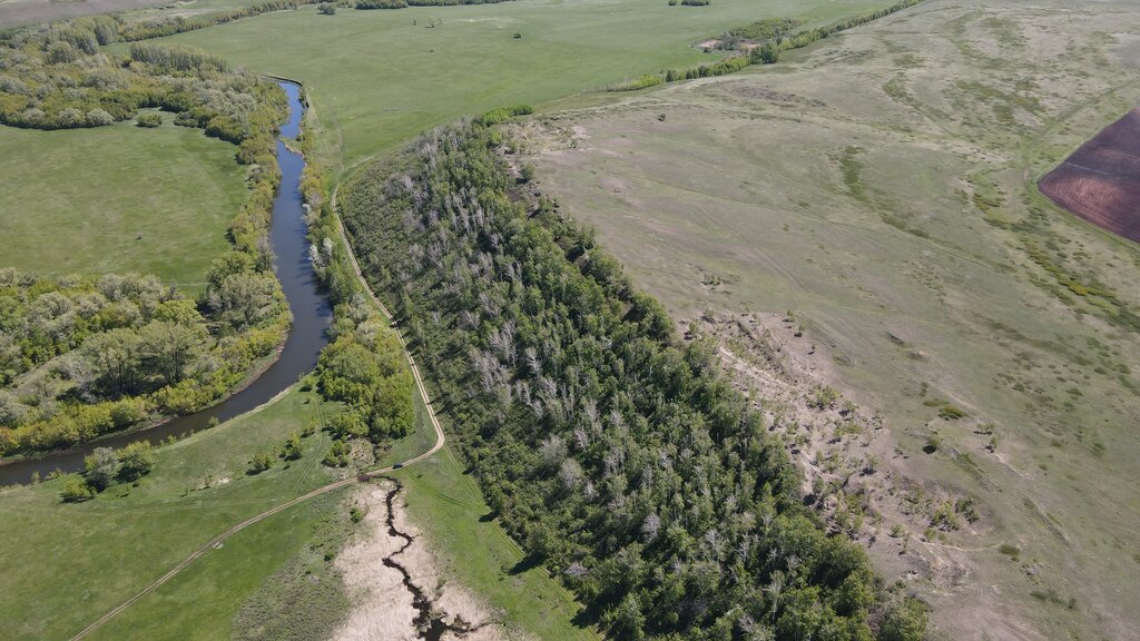 Doğa koruma alanı Ландшафтно-ботанический памятник природы Урочище Березовая гора, Orenburgskaya oblastı, foto