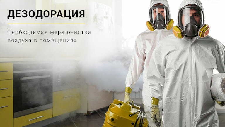 Haşere ilaçlama firmaları Cec-region, Tolyatti (Togliatti), foto