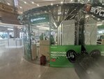 Мегафон, платёжный терминал (Moscow, Zelenogradsky Administrative Okrug, Kryukovskaya ploshchad, 1), payment terminal  Moskova'dan