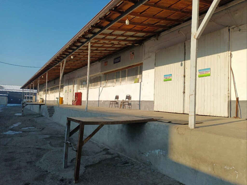 Gümrük depoları Abs xamkor, Nemengan, foto