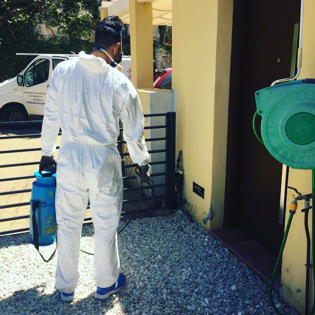 Haşere ilaçlama firmaları Plaguicosta Control De Plagas, , foto