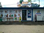 Odejda dlya jivotnih (Papovicha Street No:6), petshop  Grodno'dan