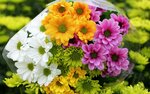 Flowers (Naberezhnaya Street No:3А, Working Settlement of Iksha), çiçekçiler  Moskova ve Moskovskaya oblastından