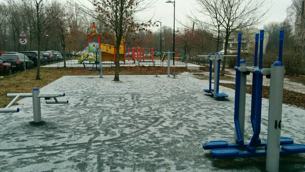 Spor alanı Уличные тренажёры, Saint‑Petersburg, foto