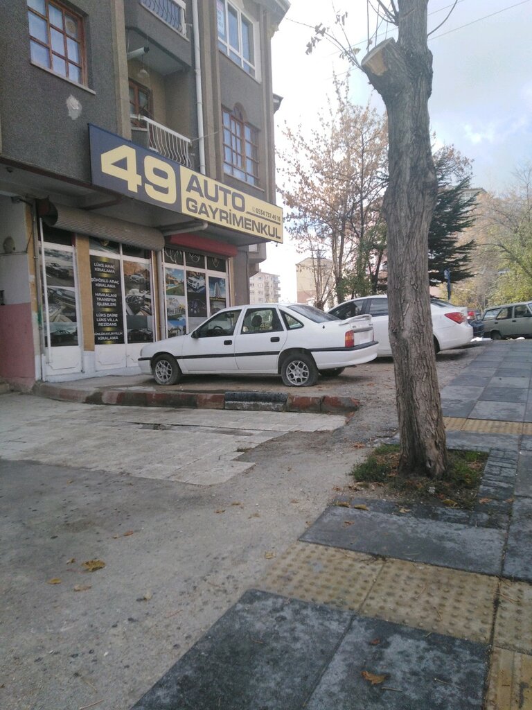 Oto kiralama 49 Auto Gayrimenkul, Ankara, foto