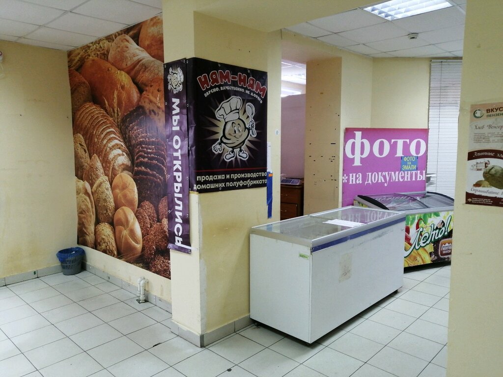 Dondurulmuş gıda firmaları Ням-ням, Penza, foto