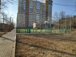 Sports ground (Volgograd, Tsentr), spor alanı  Volgograd'dan