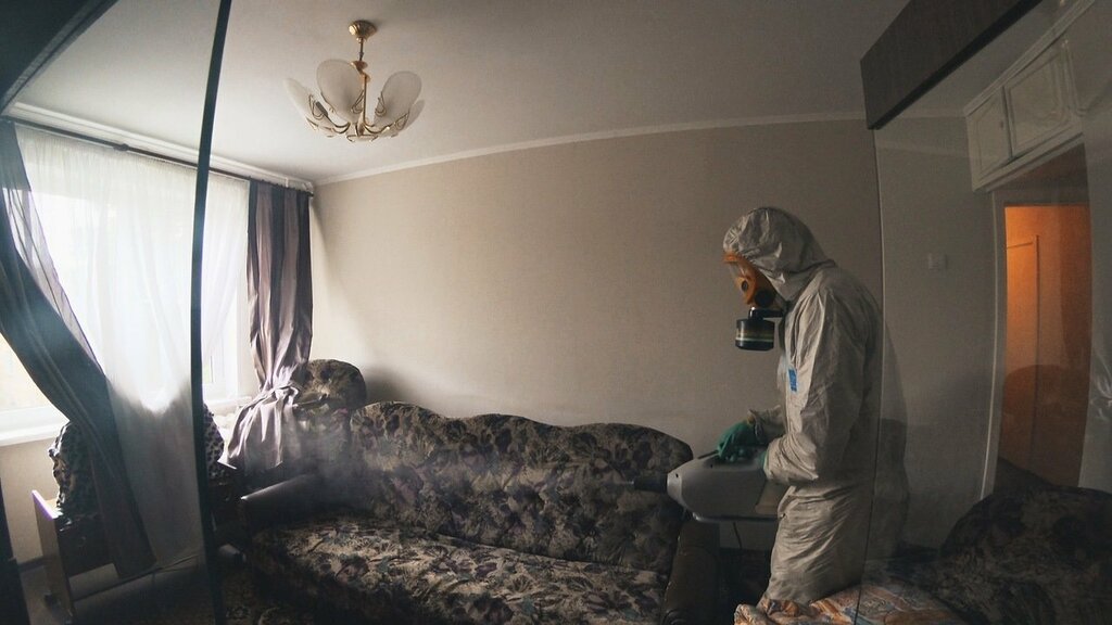 Haşere ilaçlama firmaları Ses-goroda-odintsovo, Stupino, foto