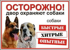 Tabela yapımı Tablichki, Saint‑Petersburg, foto