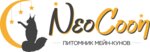 Maine Coon Kennel Neo Coon (Sovetskaya ulitsa No:156), evcil hayvan yetiştiricileri  Beriozovski'den
