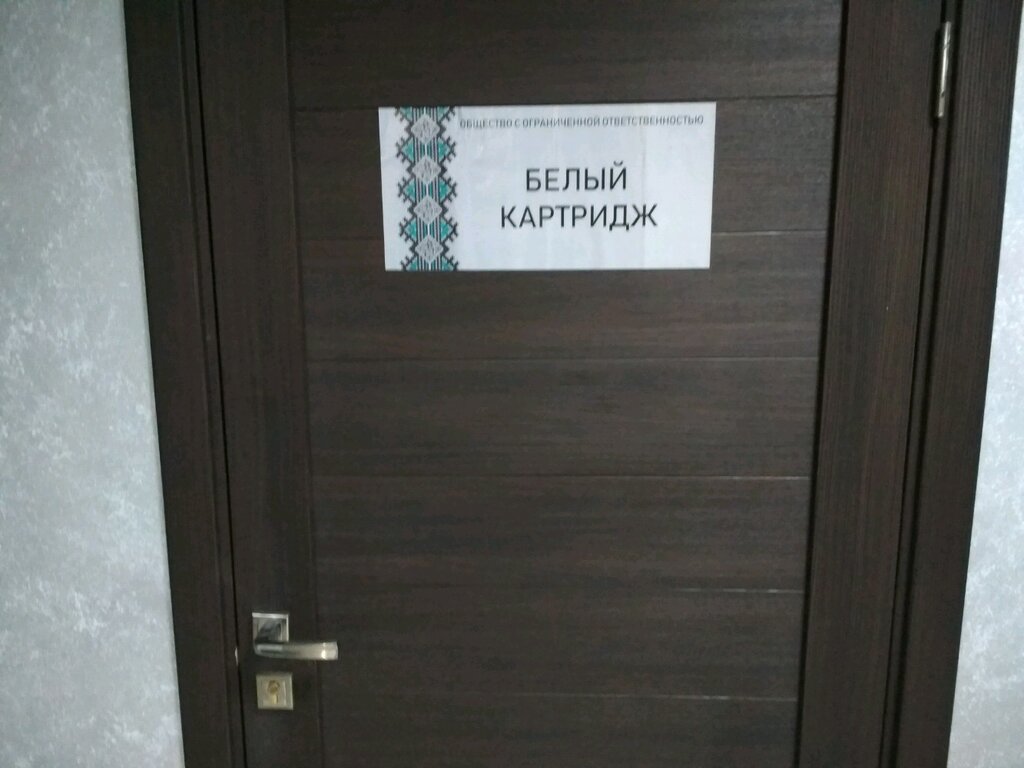 Elektronik ofis ekipmanları sarf malzemeleri Белый картридж, Vitebsk, foto