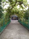 Место под солнцем в Гаграх (ulitsa Chanba No:34), otel  Gagra'dan