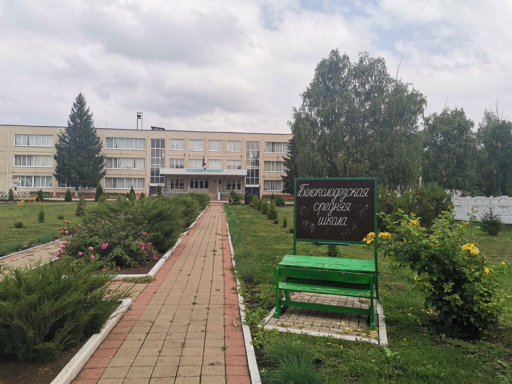 Ortaokul Белоколодезская средняя общеобразовательная школа Вейделевского района Белгородской области, Belgorodskaya oblastı, foto