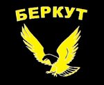 ЧОО Беркут (Vladimir Region, Aleksandrov, Institutskaya ulitsa), güvenlik firmaları  Aleksandrov'dan