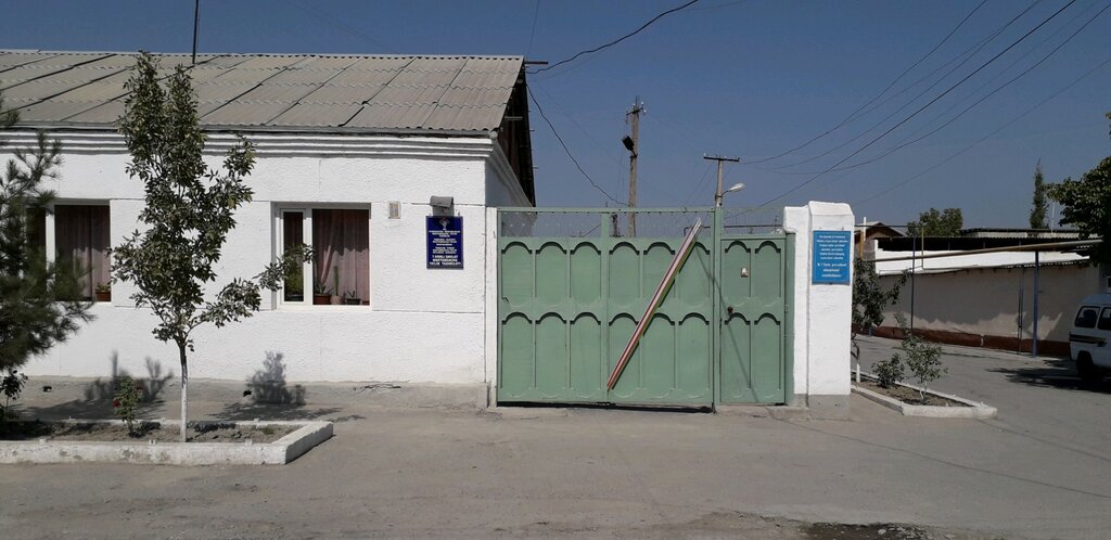 Anaokulları Preschool Educational Organization No. 7, Mergilân, foto