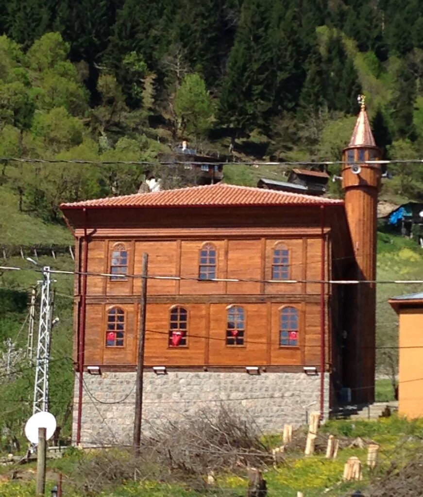 Cami Camili Köyü Cami, Borçka, foto