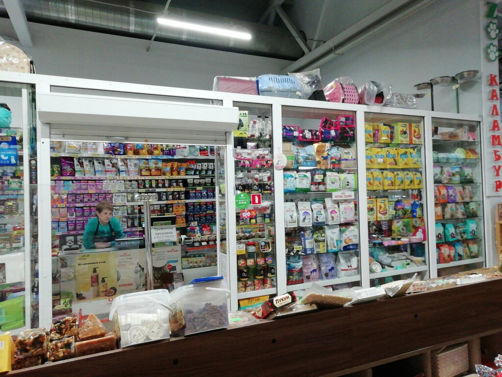 Petshop Лемур, зоомаркет, Angarsk, foto