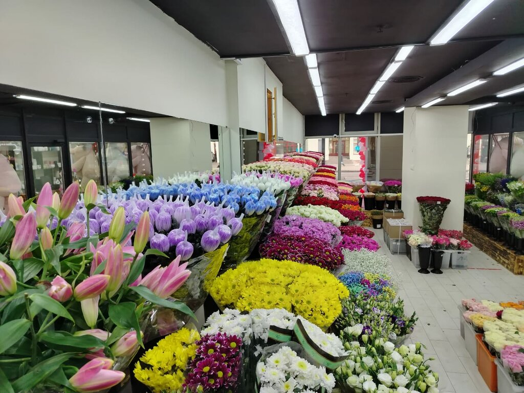 Çiçekçiler Цветочный склад, Moskova, foto