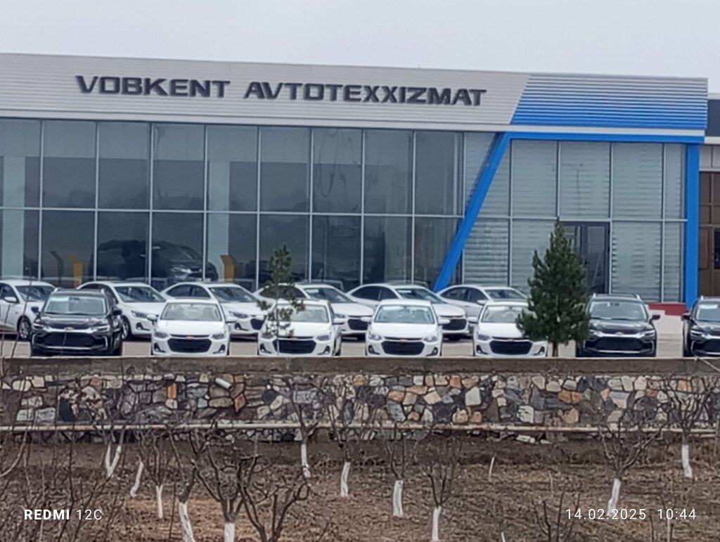 Otomobil satış galerileri Avtotexxizmat, Buhara eyaleti, foto