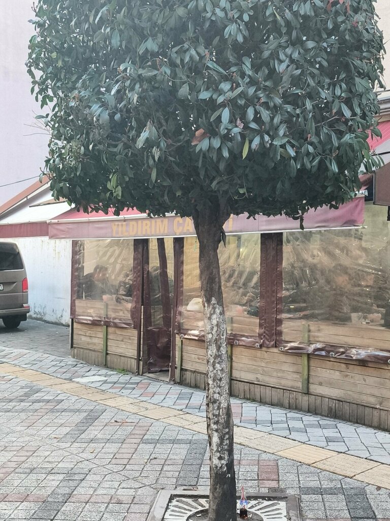 Çayevi Yıldırım Kıraathanesi, İstanbul, foto