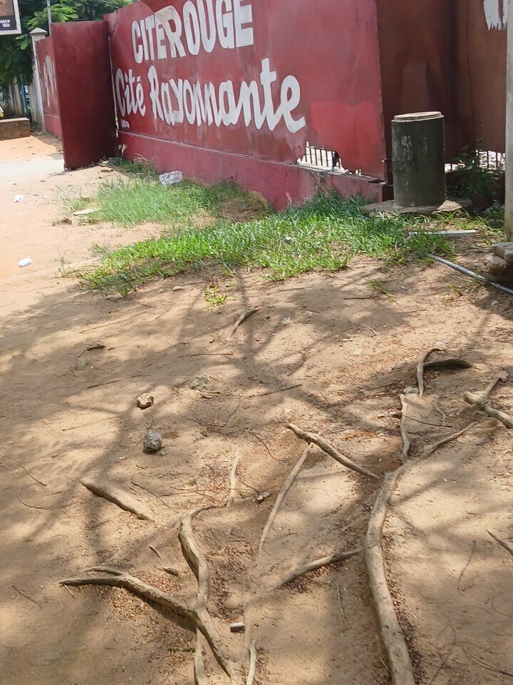 Müzeler ve sanat galerileri Red City, Abican, foto