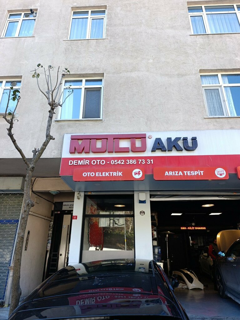 Otomobil servisi Demir Oto Elektrik, İstanbul, foto