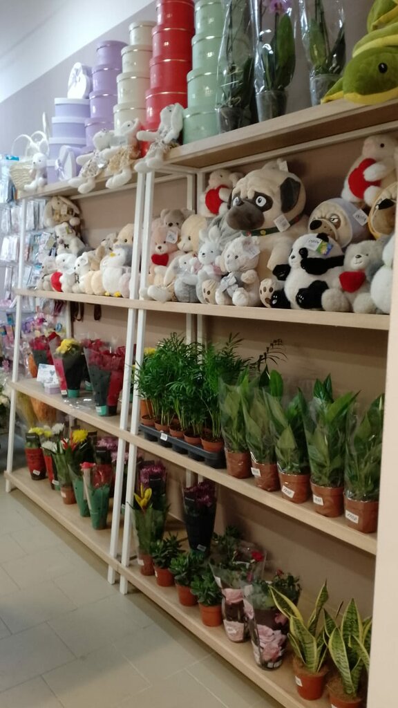 Çiçekçiler Незабудочка, Podolsk, foto