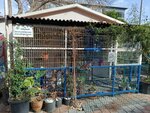 Altıntaş Mahalle Muhtarlığı (İzmir, Konak, Altıntaş Mah., 365 Sok.), muhtarlıklar  İzmir'den