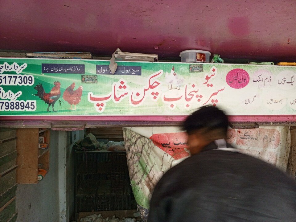 Kanatlı hayvan ürünleri ve yumurta New super Punjab chicken shop, Rawalpindi, foto