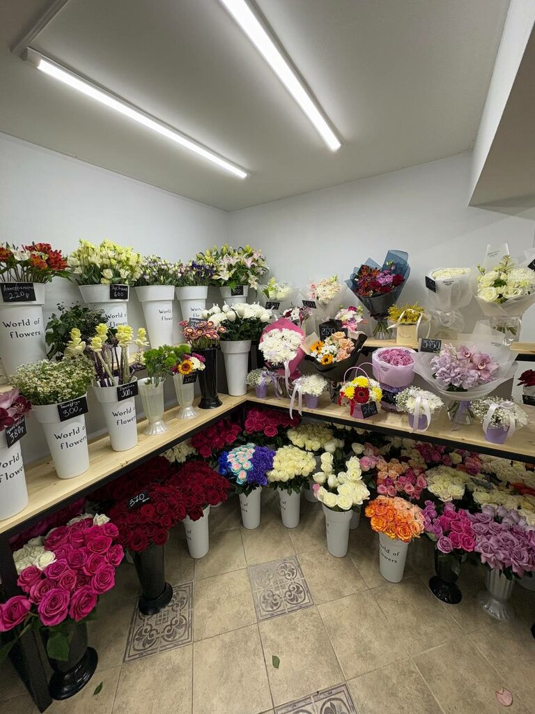 Çiçekçiler Botanica Studio, Nijnevartovsk, foto