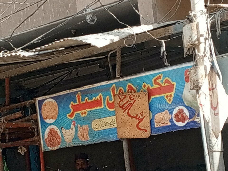 Kanatlı hayvan ürünleri ve yumurta Mashallah wholesale chiken, Karaçi, foto