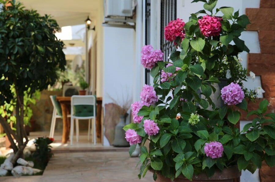 Otel Limon Apart, Ula, foto