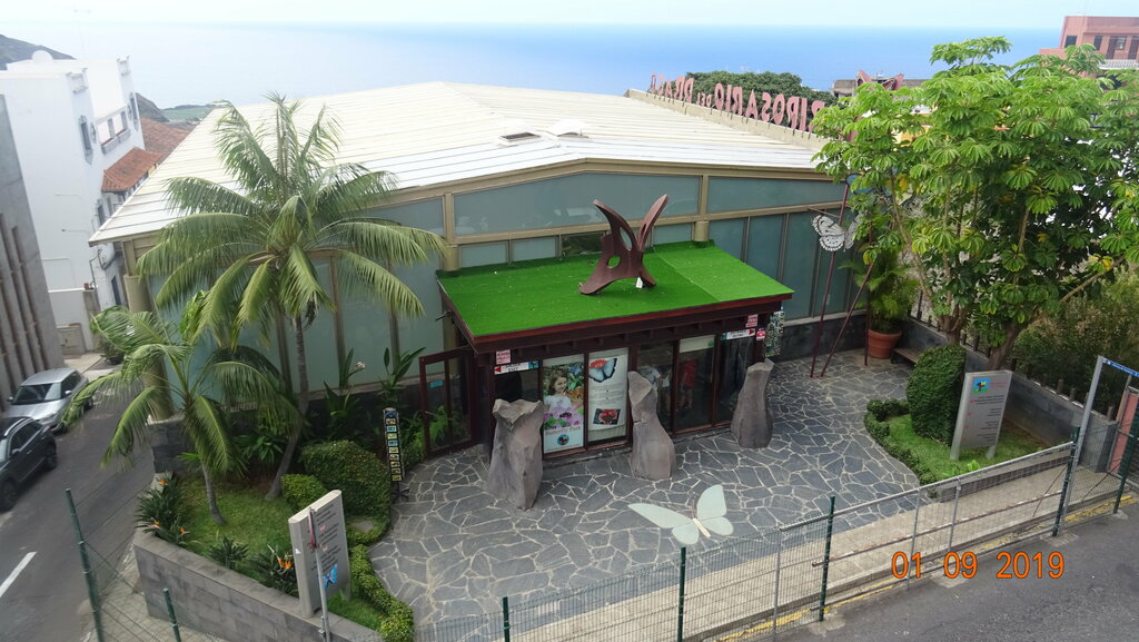 Müzeler ve sanat galerileri Butterfly Park, , foto