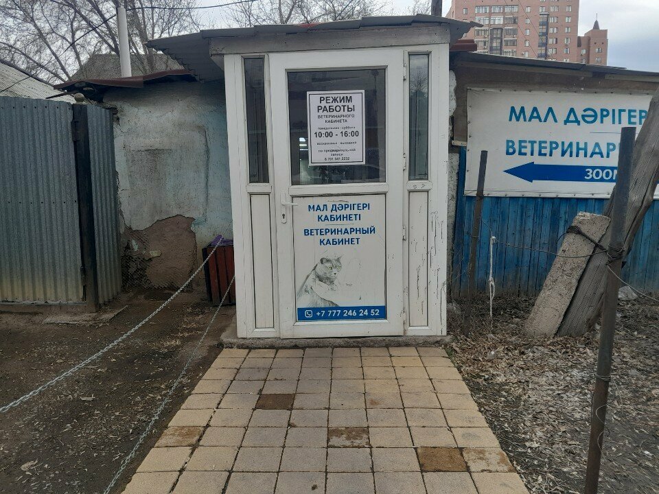 Veteriner klinikleri Veterinarnyi kabinet, Astana, foto