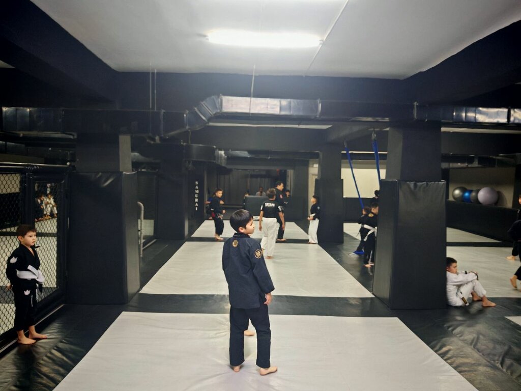 Spor kulüpleri Samurai Academy, Almatı, foto