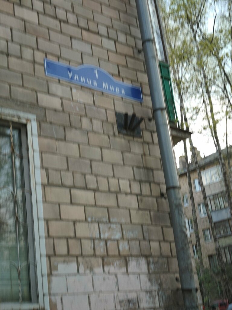 Garajlar Gk Fabrichny, Balaşiha, foto