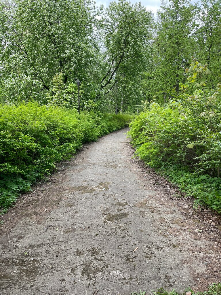 Kültür ve eğlence parkları Zeninskiy Park, Liubertsy, foto
