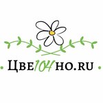 Cvetochno.ru (Podmoskovnaya ulitsa No:24/7, derevnya Ostrovtsy), sera ve bahçe ürünleri  Moskova ve Moskovskaya oblastından