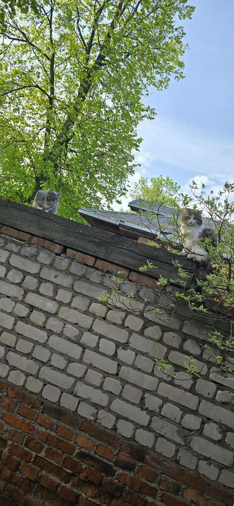Konuk evi Guest house on Lenina 35 a, Suzdal, foto