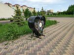 Container for Collecting Plastic Bottles (Aktobe, Health Park), ayrı çöp toplama noktası  Aktöbe'den