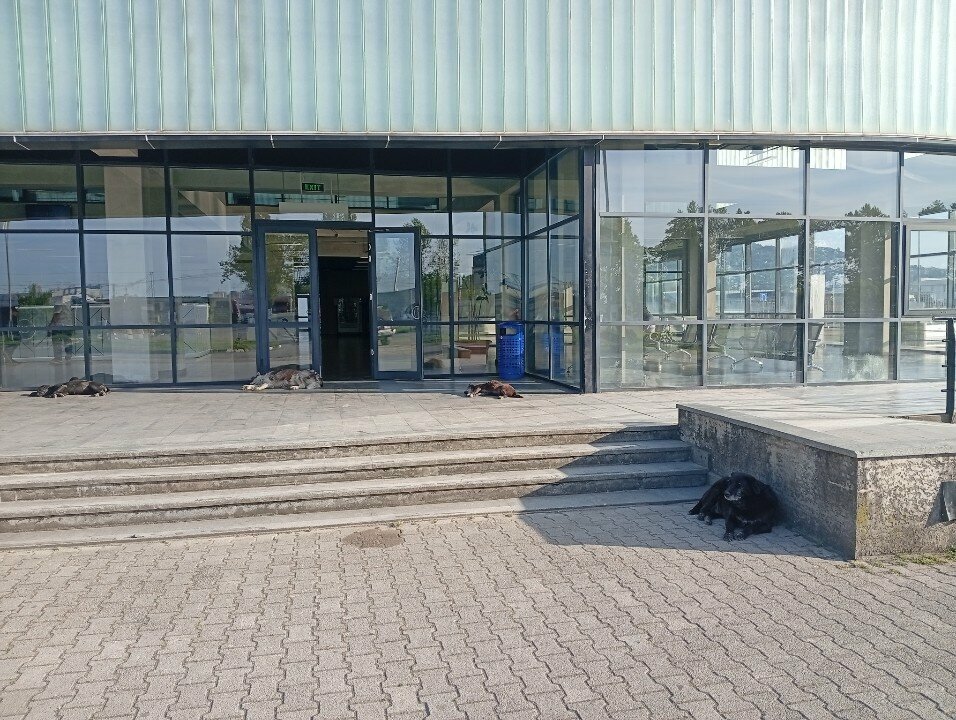 Gümrükler Custom Clearance Zone, Batum, foto