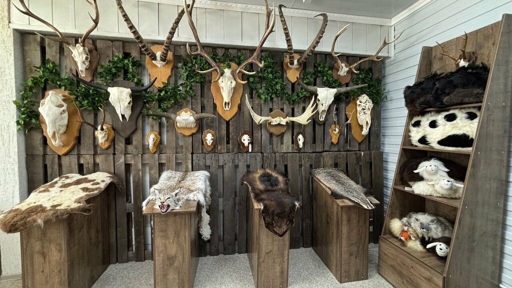 Müzeler ve sanat galerileri Интерактивный музей животных горного Алтая, Gorno‑Altaysk, foto