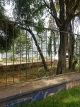 AA University 5 kilo Campus (Addis Ababa, Arada, Kebele 10), üniversiteler  Addis Ababa'dan