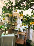 Sofi_photostudio (Sarykul Street No:9G), profesyonel fotoğraf stüdyosu  Taşkent'ten