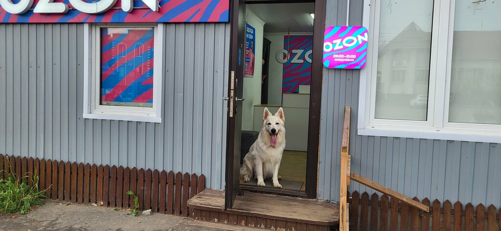Teslimat noktası Ozon, Kosteriovo, foto