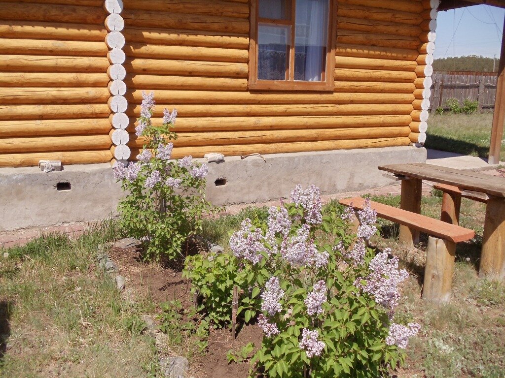 Tatil köyleri Fortuna, Akmola eyaleti, foto